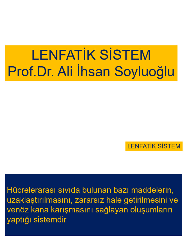 Lenfler | PDF