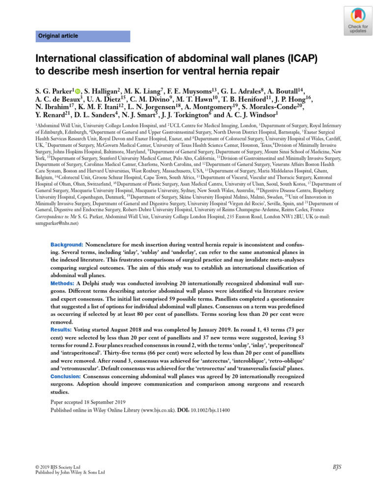 International Classification of Abdominal Wall Planes ICAP EHS | PDF ...