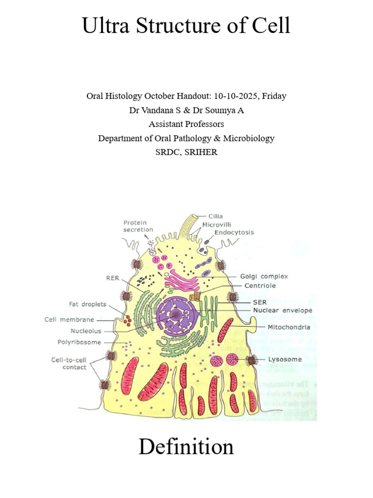 Ultra Structure of Cell | PDF | Cytoplasm | Cell (Biology)