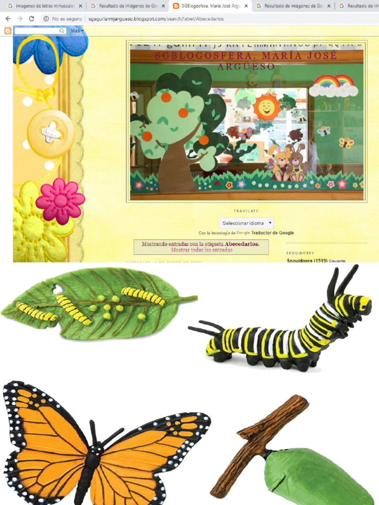 Ciclo de Vida de la Mariposa Monarca | PDF