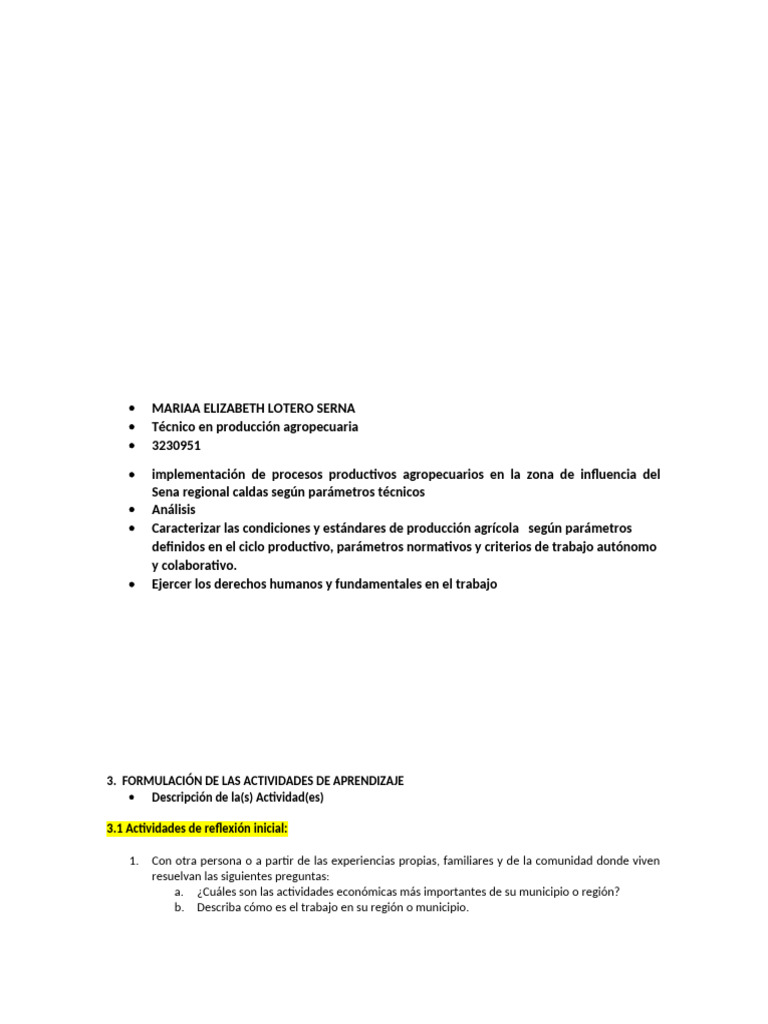 Maria Elizabeth Lotero Serna - Trabajo | PDF | Outsourcing | Minería