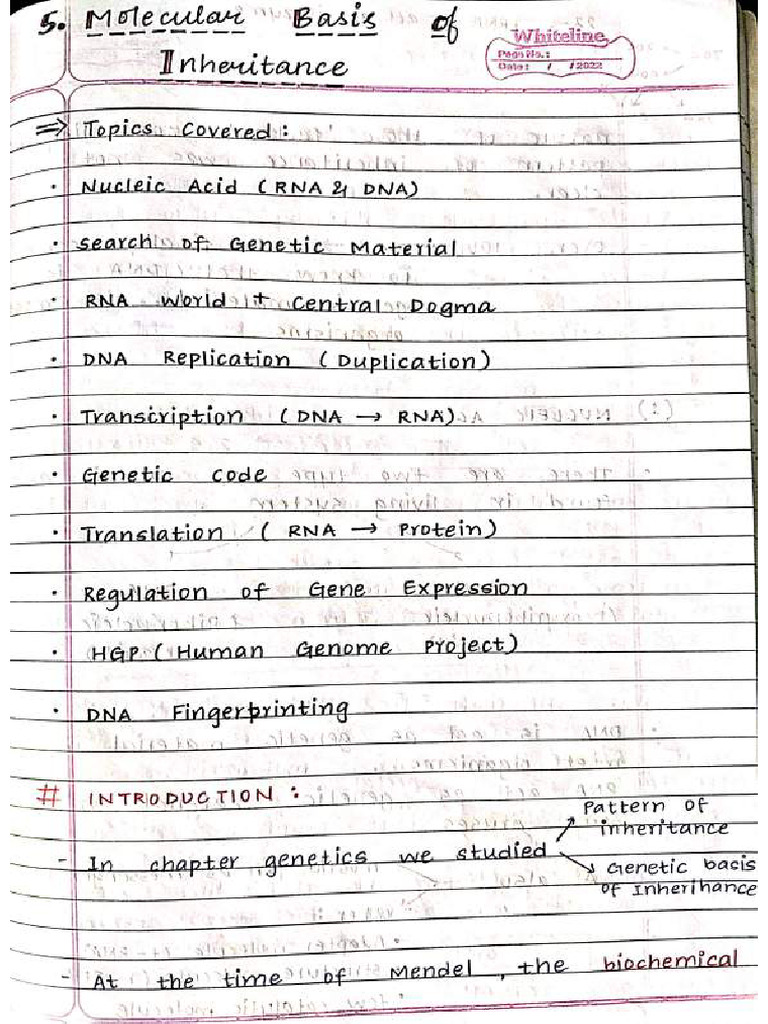 12th CH 5 Molecular Basis of Inheritance Notes Compressed | PDF
