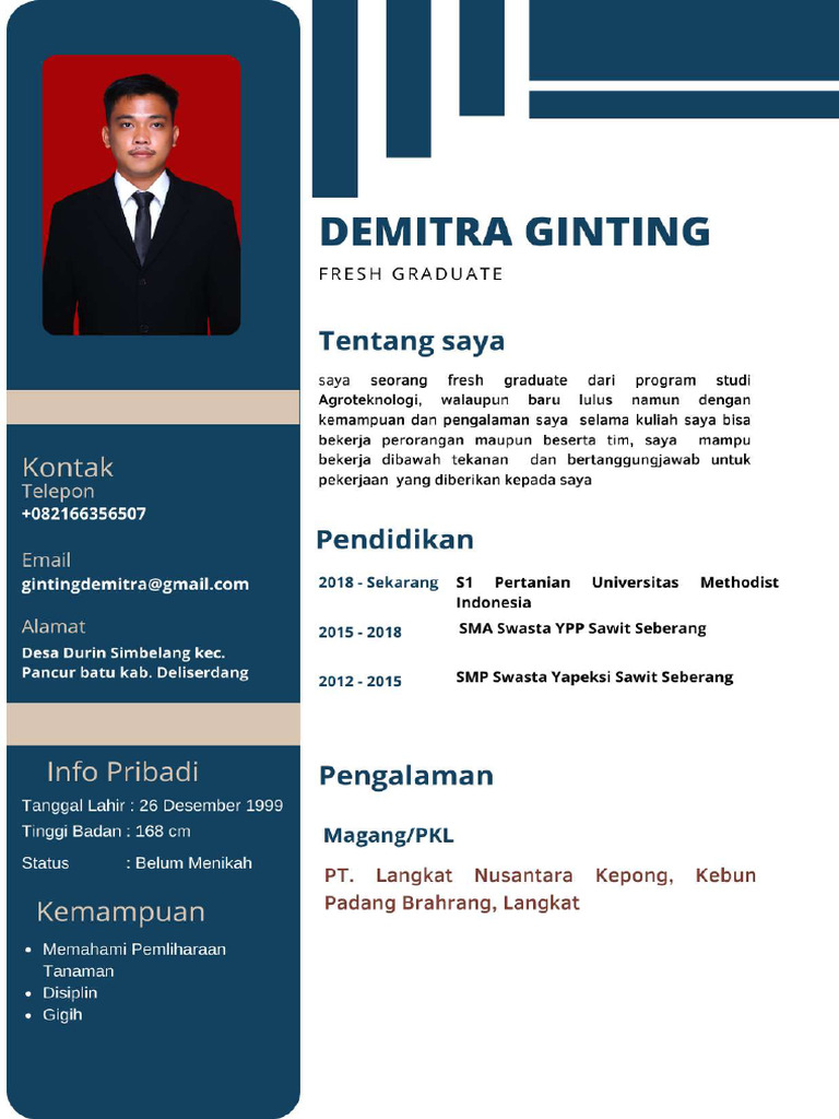 CV Demitra Ginting | PDF