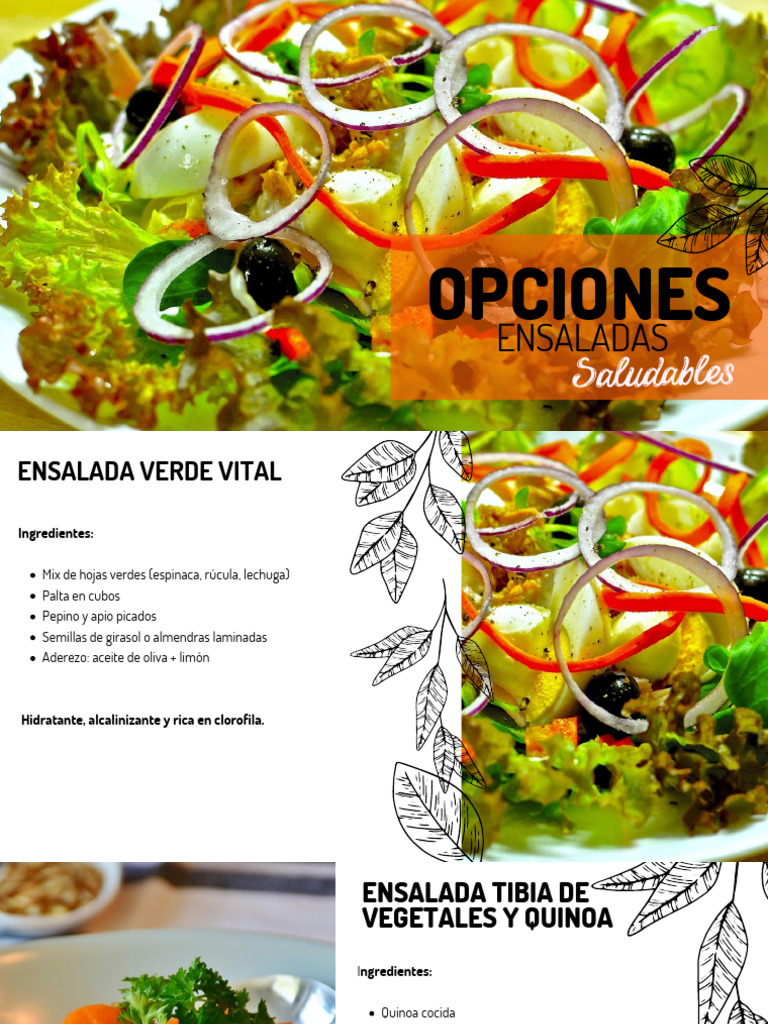 Recetas de Ensaladas Saludables y Nutritivas | PDF