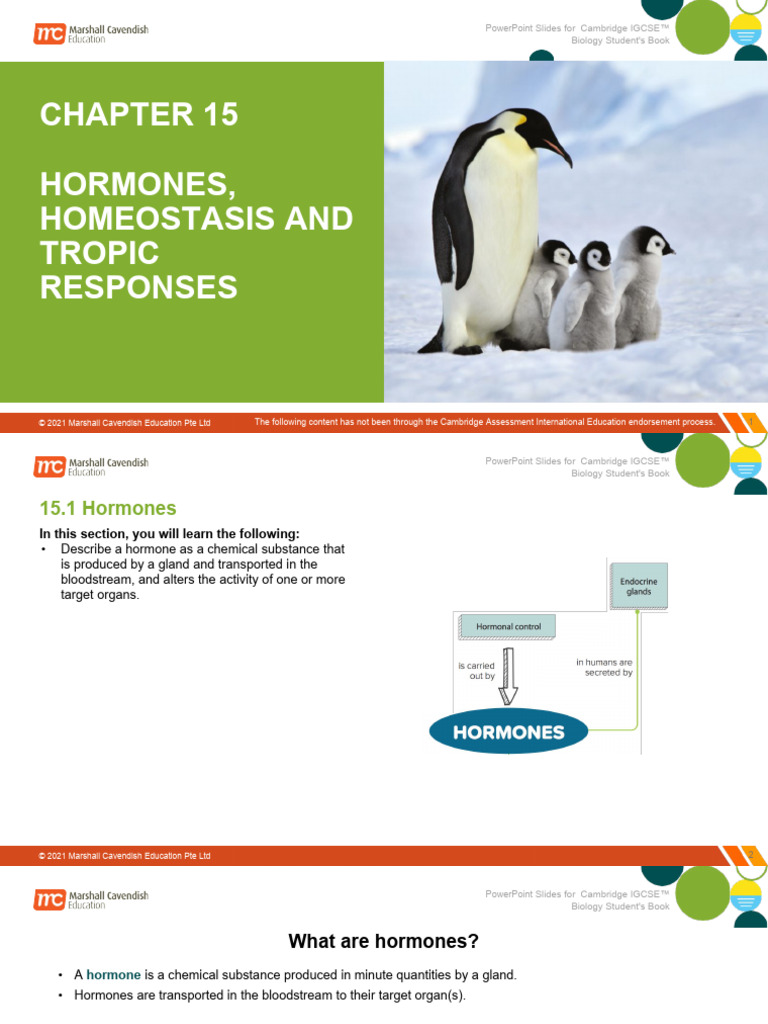 Hormones and Homeostasis in Biology | PDF | Homeostasis | Hormone