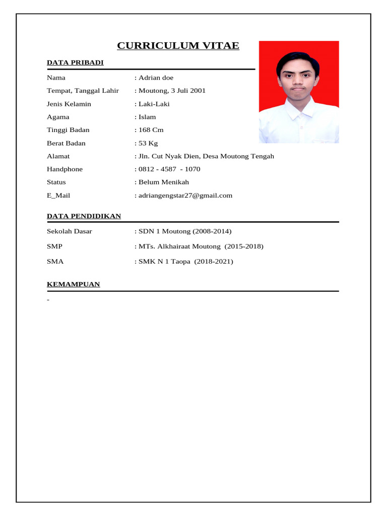 Curriculum Vitae Adrian | PDF