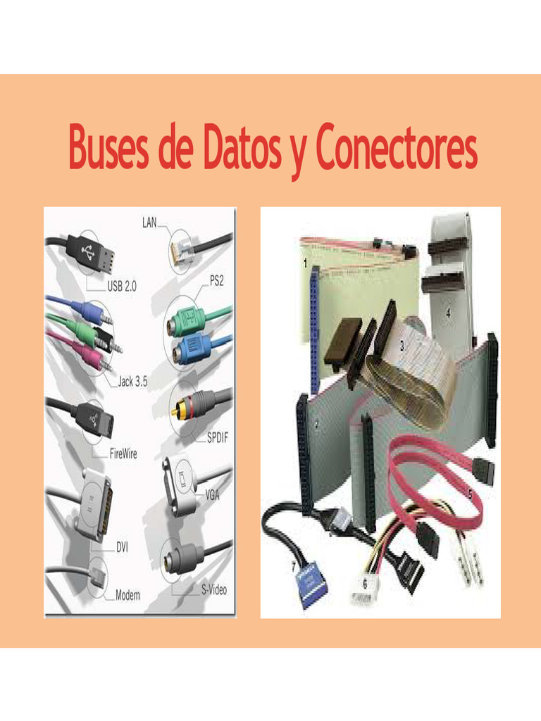 Apunts Buses y Conectores | PDF | USB | De entrada y salida