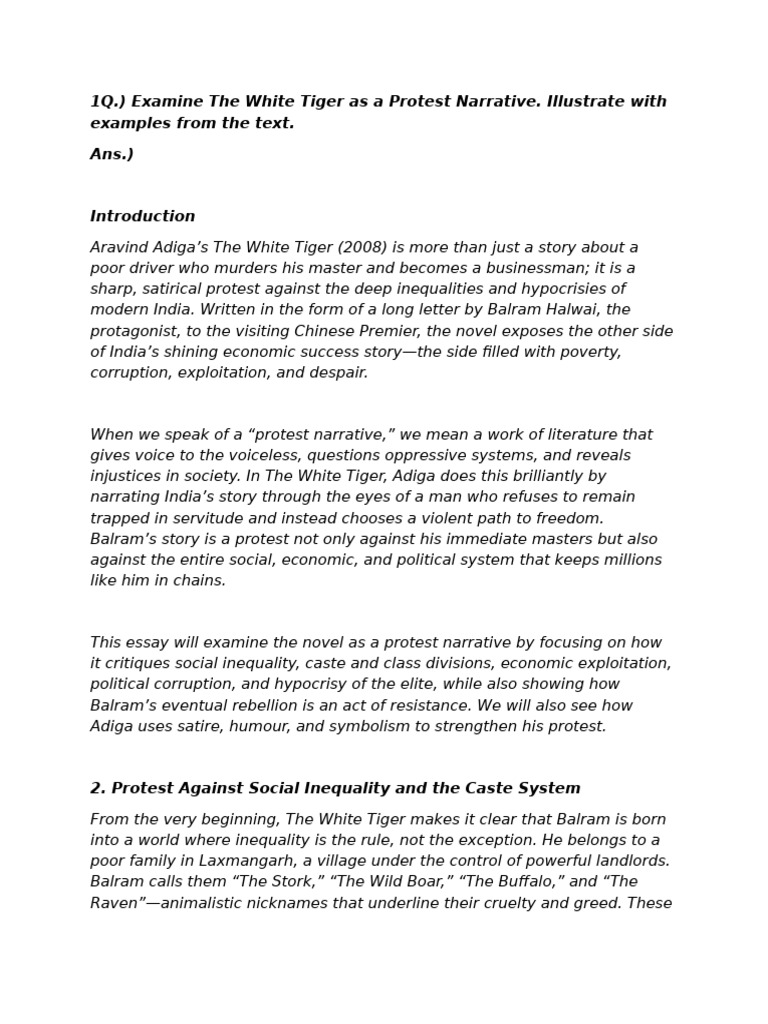 VEC (Contemporary Protest Narratives) Assignment | PDF