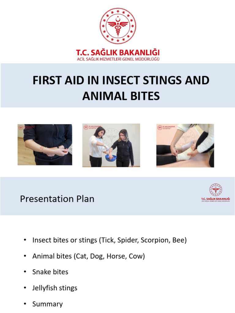 First Aid for Insect Stings & Animal Bites | PDF