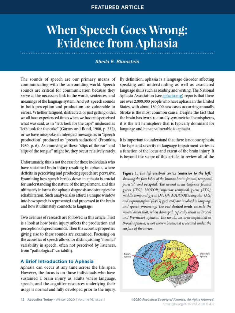 When Speech Goes Wrong Evidence From Aphasia Sheila E. Blumstein | PDF ...