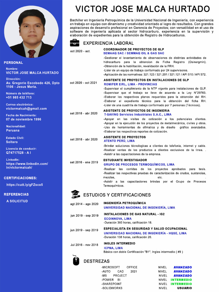 CV - Victor Malca Final Llamagas - Documentado | PDF | Hidrocarburos