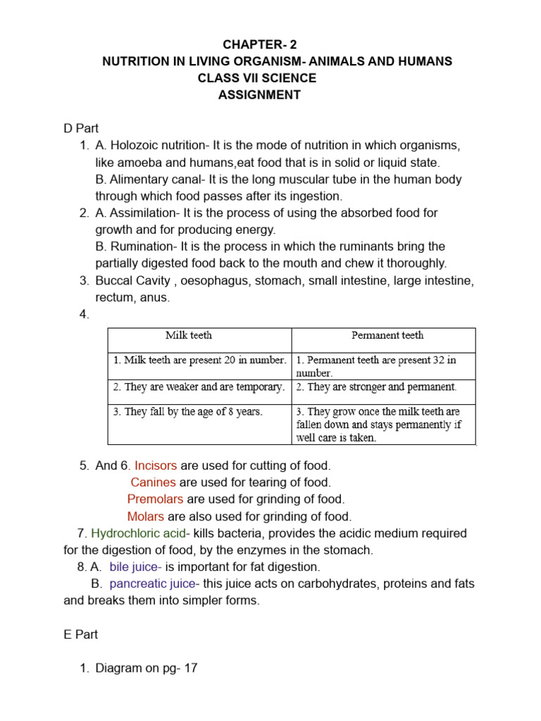 CH 2 Nutrition in Living Organisms - Animals Assignment | PDF ...