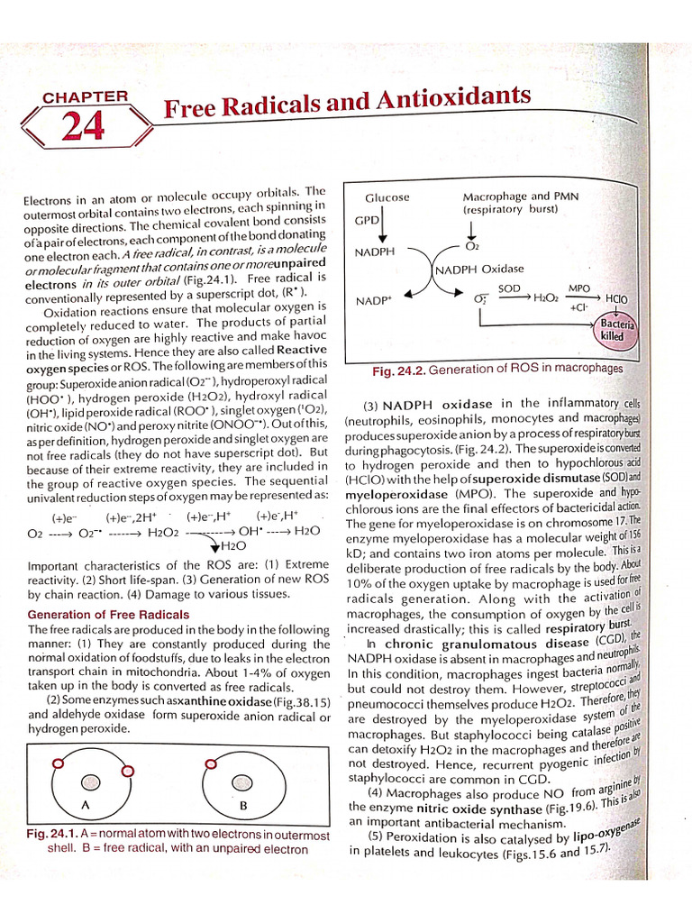 Free Radical and Anti Oxidants | PDF