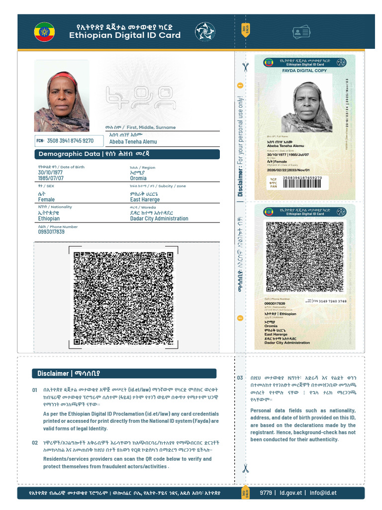 Efayda_Abeba Teneha Alemu | PDF