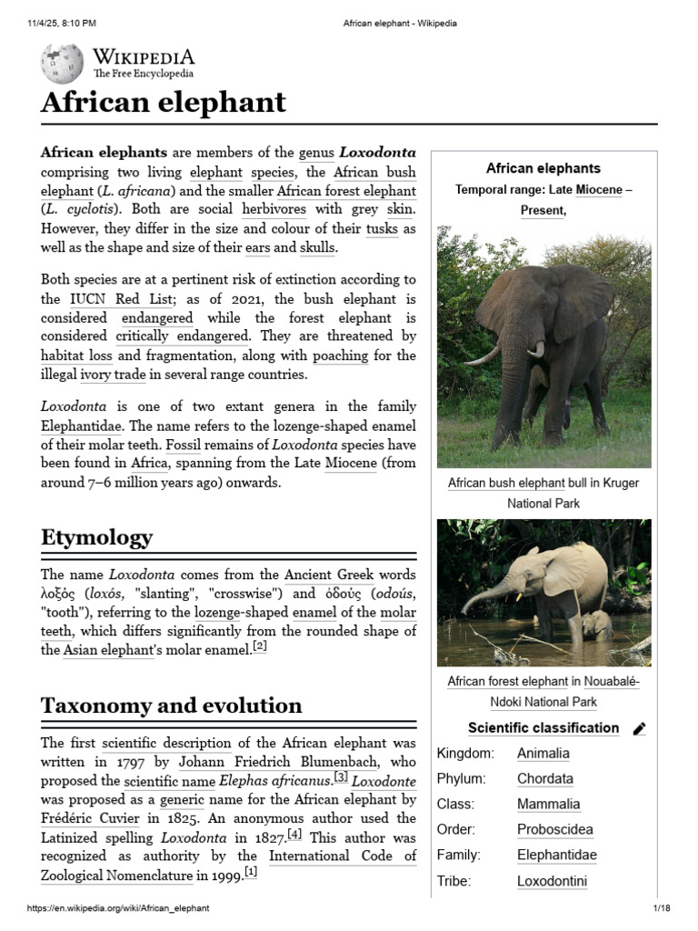 African Elephant - Wikipedia | PDF | Biology