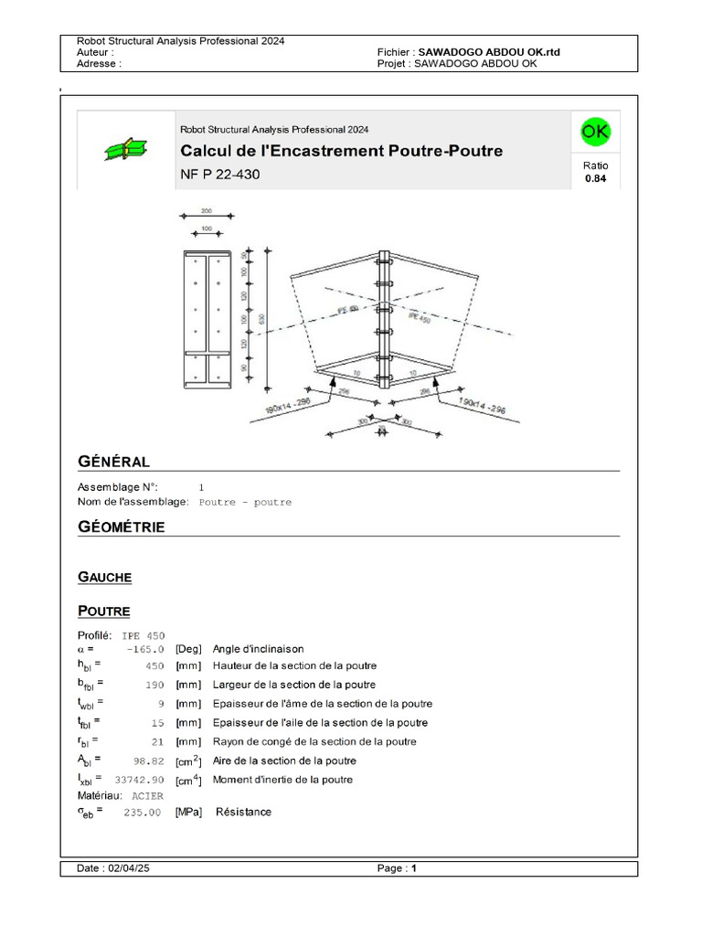 Robot Structural Analysis Professional 2024 | PDF