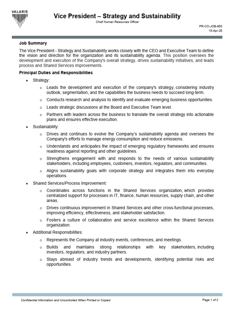 VP of Strategy and Sustainability Role | PDF | Sustainability ...