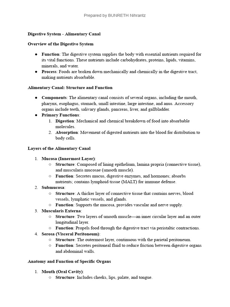 22 Recap Anatomy - Digestive System Alimentary Canal | PDF | Human ...