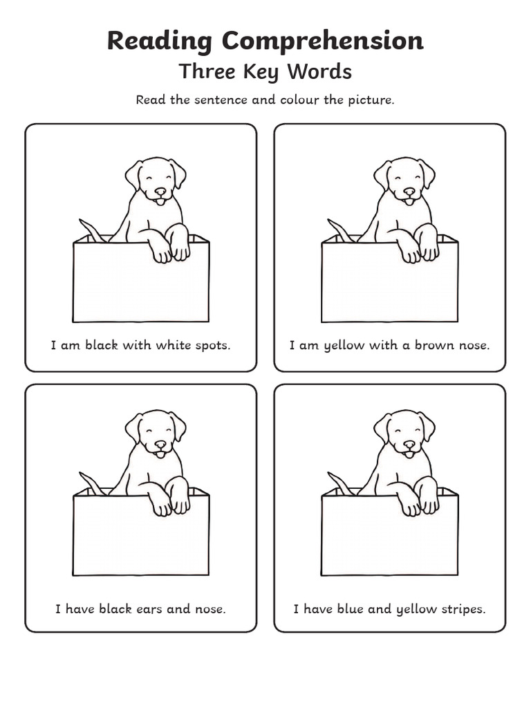 Colorful Reading Comprehension Activities | PDF