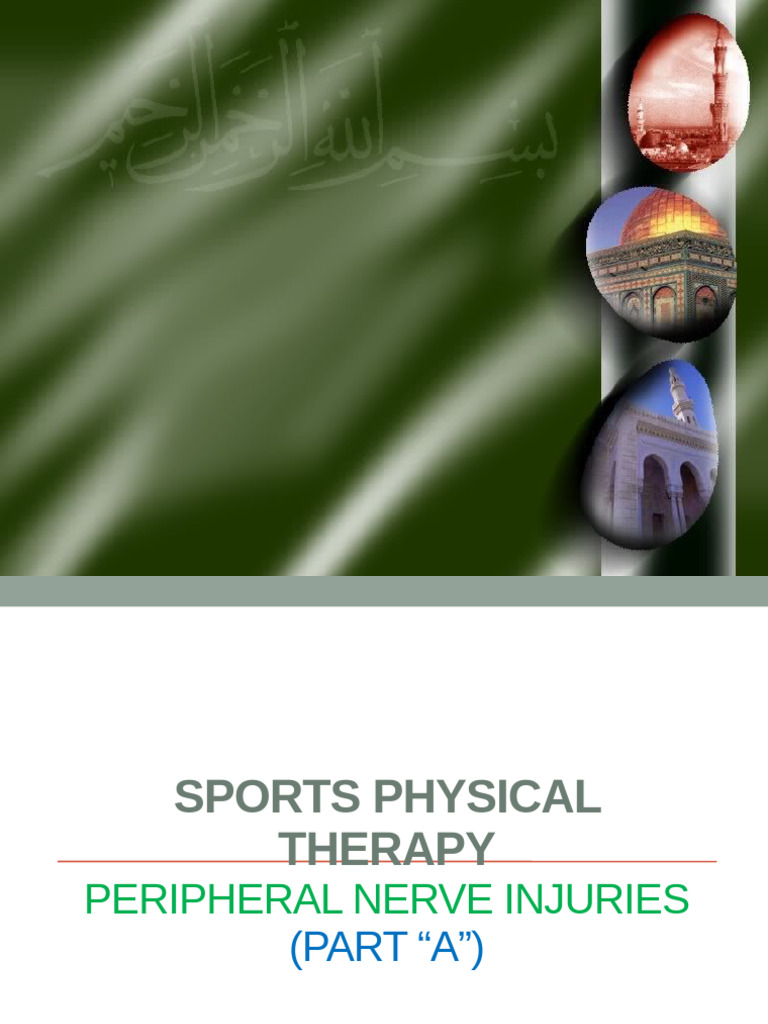 Peripheral Nerve Injuries in Sports | PDF | Nerve | Nervous System