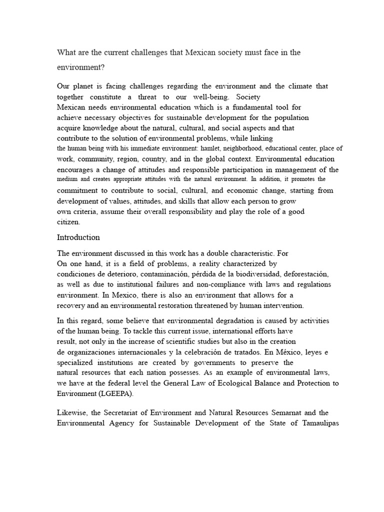 Essay Challenge of The Environment | PDF | Natural Environment ...