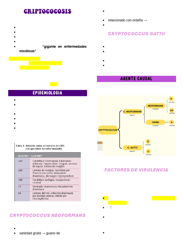 criptococosis mitología con la química coli | PDF | Macrófago | Infección
