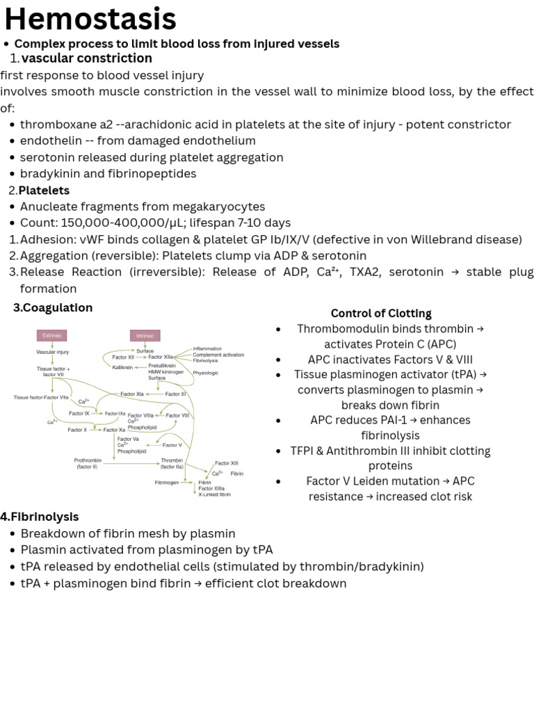 Hemostasis Overview | PDF