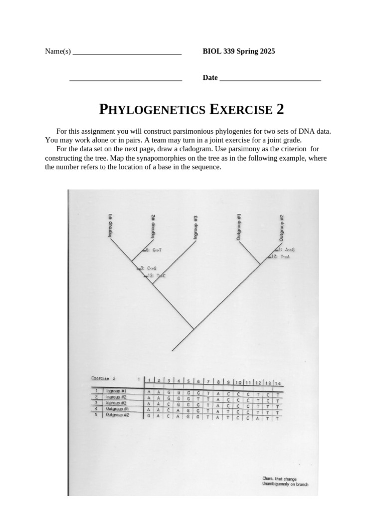 BIOL 339 Phylogenetics Exercise 2 Spring 2025 | PDF