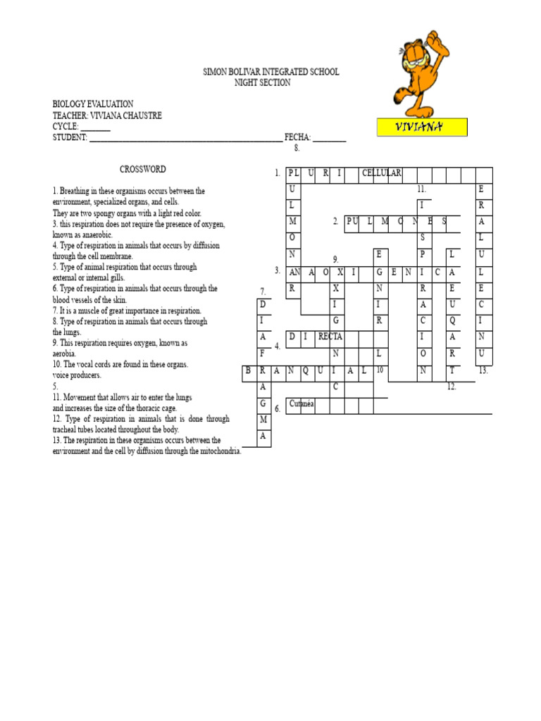 CROSSWORD RESPIRATION | PDF | Respiratory System | Biology