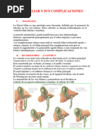 Anatomía del triángulo de Calot y Buddé | PDF | Vesícula biliar | Hígado