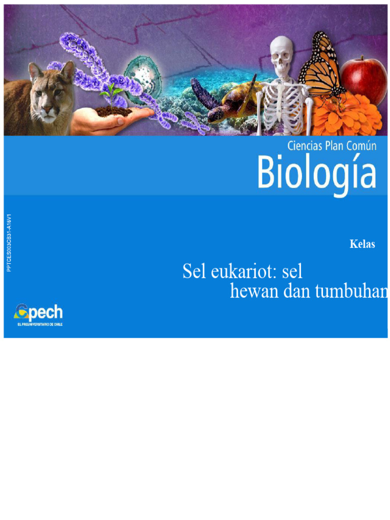 SEL EUKARIOT | PDF