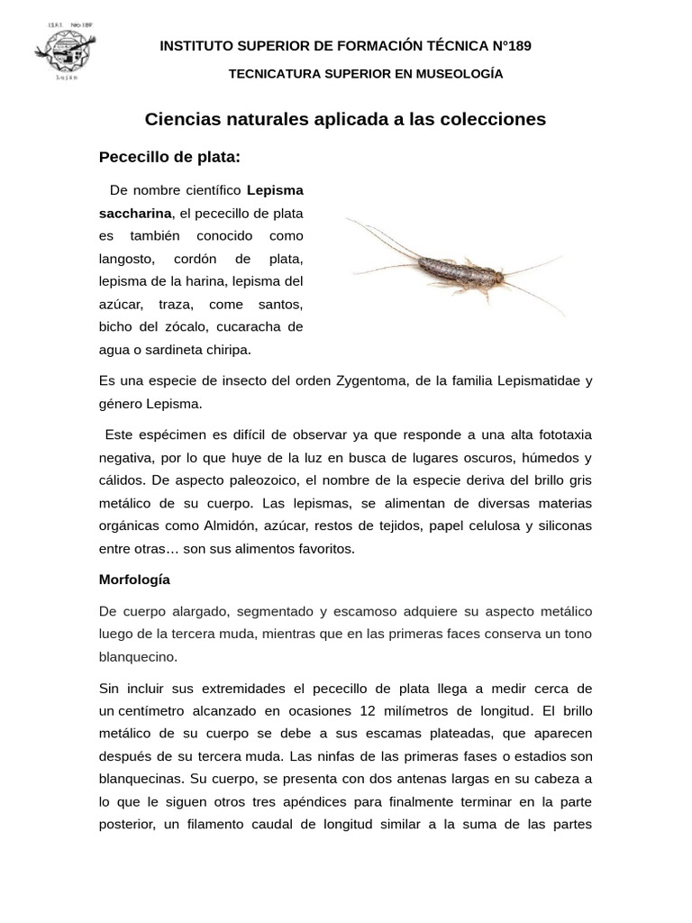 Pececillo de plata: características y hábitat | PDF