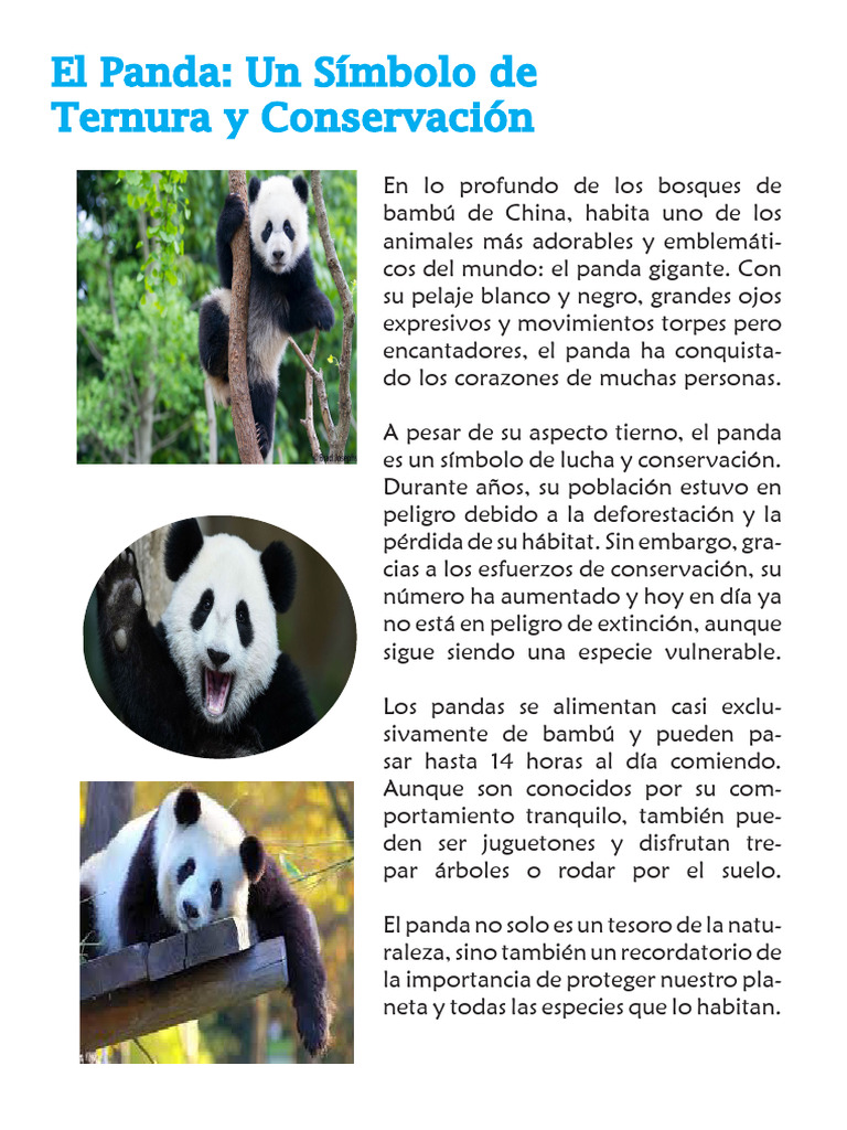 Pandas | PDF