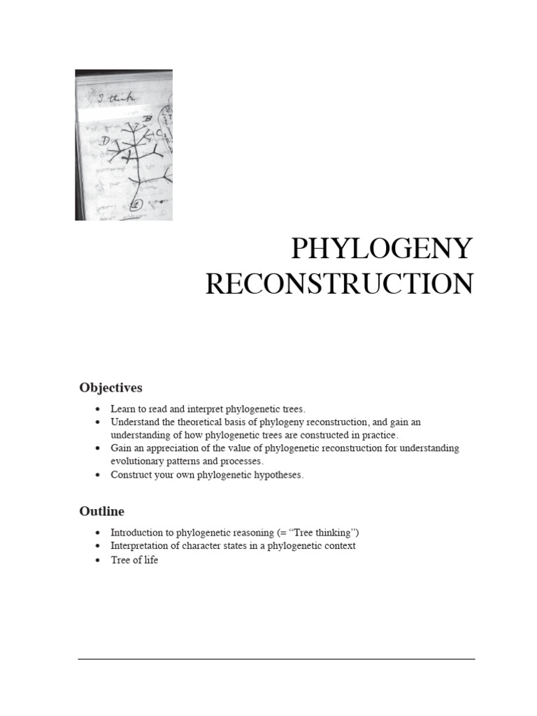 Phylogeny Reconstruction Basics | PDF | Phylogenetics | Eukaryotes