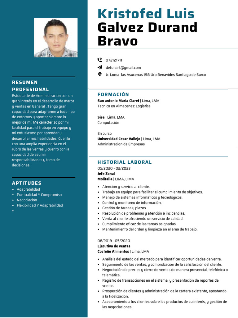 CV 2023 | PDF | Informática | Business