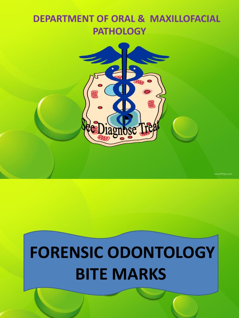 Forensic Analysis of Bite Marks | PDF | Dentistry Branches | Animal Anatomy