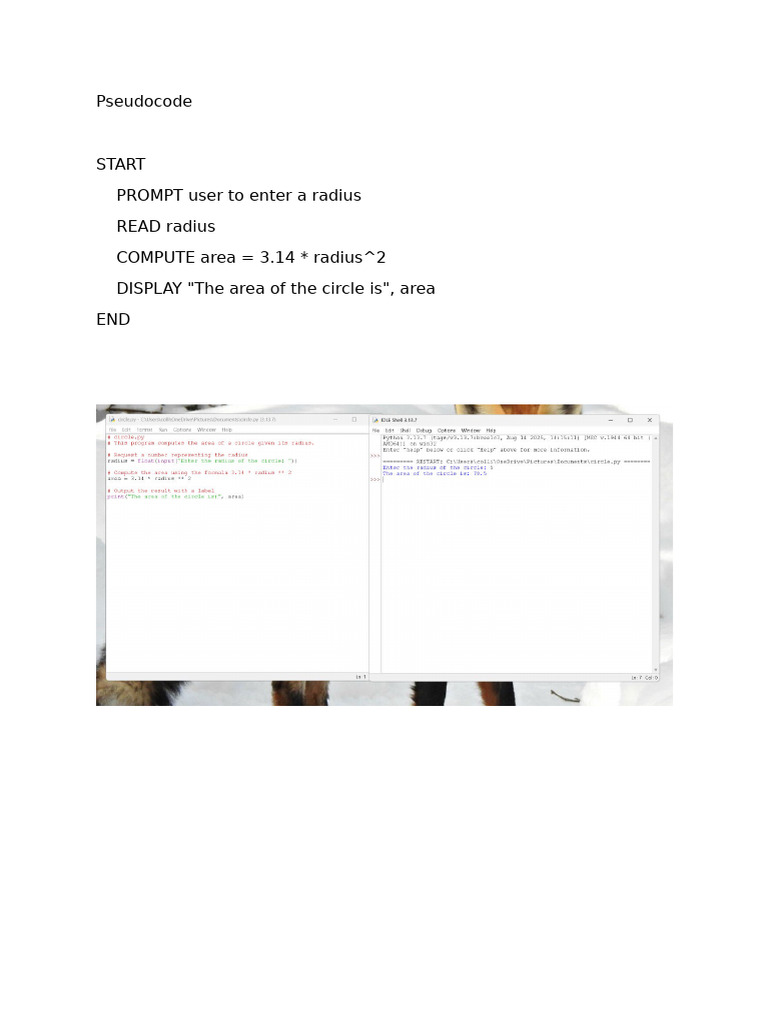 Ch.1 Pseudocode | PDF