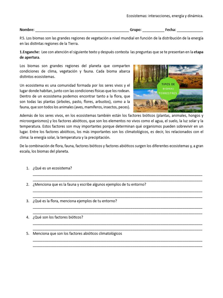 Progresion 5-Act-Clase | PDF | Ecosistema | Sabana