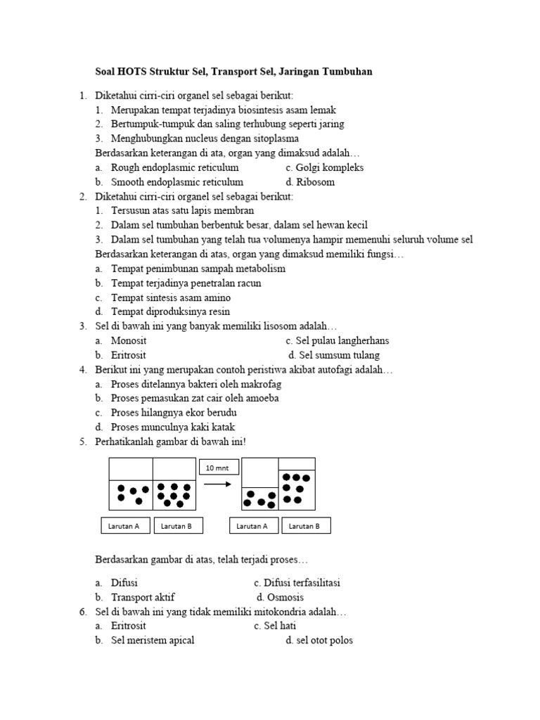 Soal HOTS Struktur dan Transport Sel | PDF