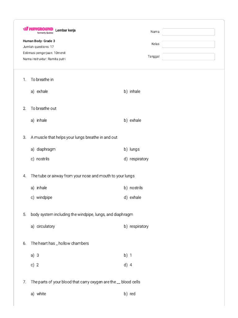Grade 3 Human Body Worksheet | PDF | Respiratory System | Breathing