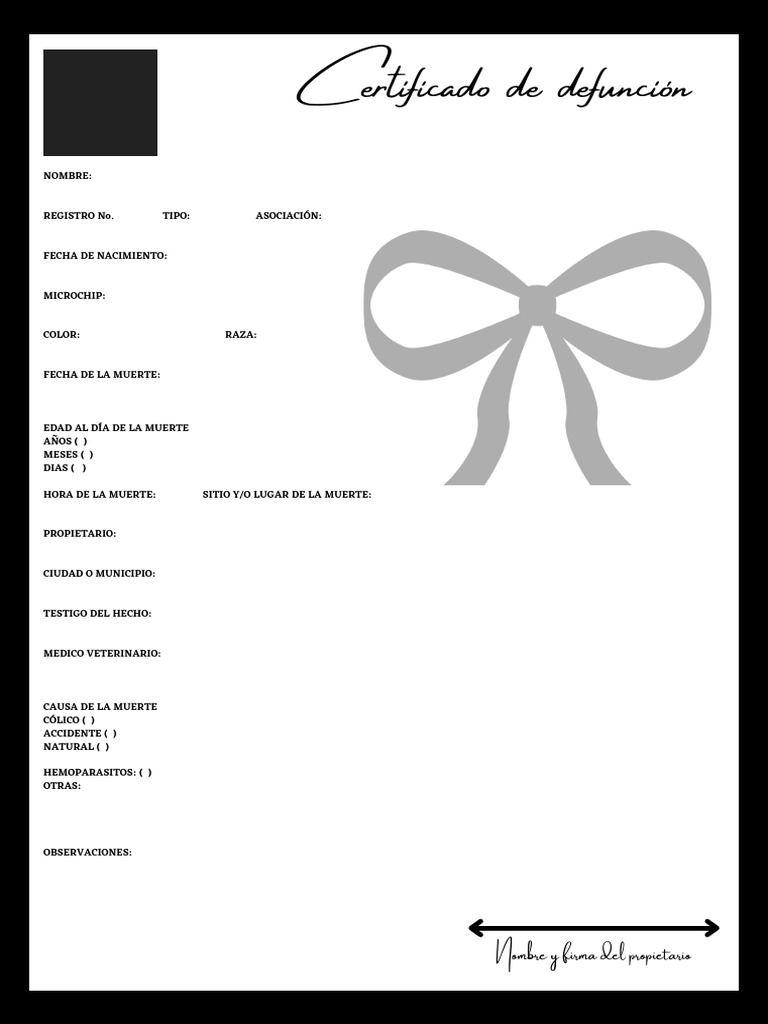 Certificado de Defunción | PDF