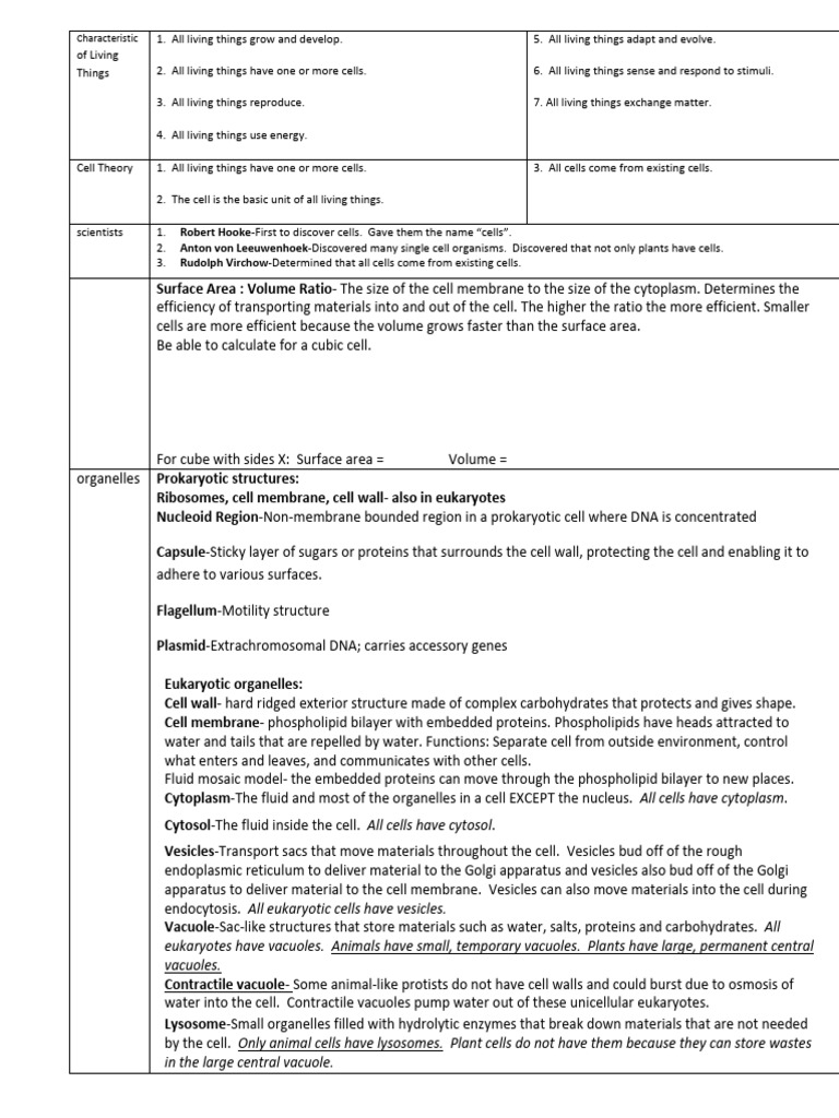 002 Cells Note Outline | PDF | Cell (Biology) | Endoplasmic Reticulum