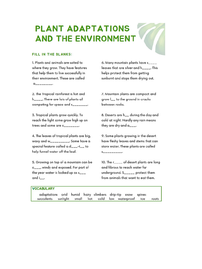 Plant Adaptation Worksheet g5 | PDF