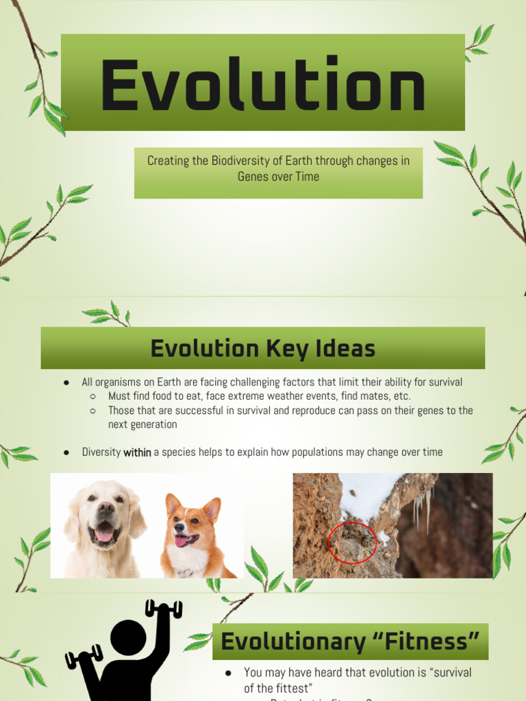 001A-Intro To Evolution Unit | PDF | Evolution | Adaptation