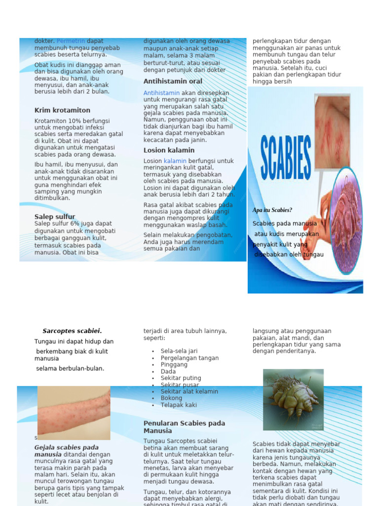 Pengobatan dan Penanganan Scabies | PDF