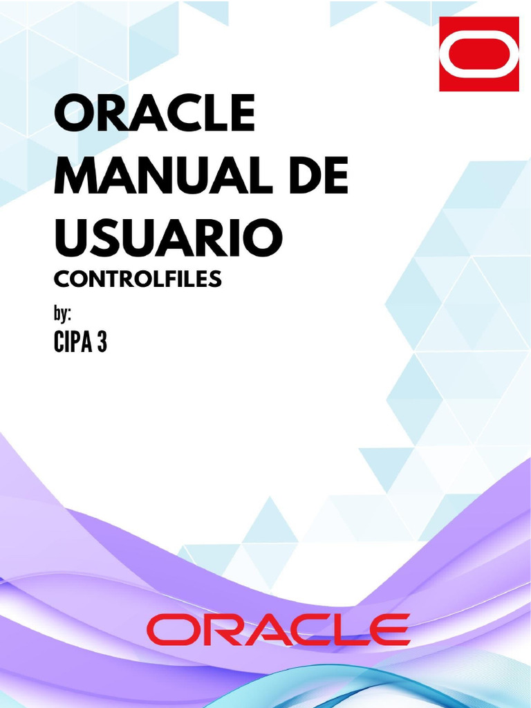 Guía Completa sobre Control y Undo Files en Oracle | PDF | Bases de ...