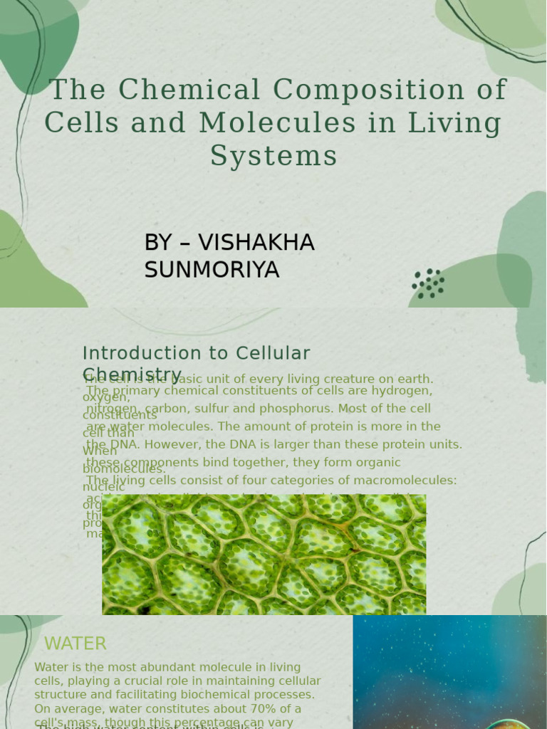 Slidesgo Understanding The Chemical Composition of Cells and Molecules ...