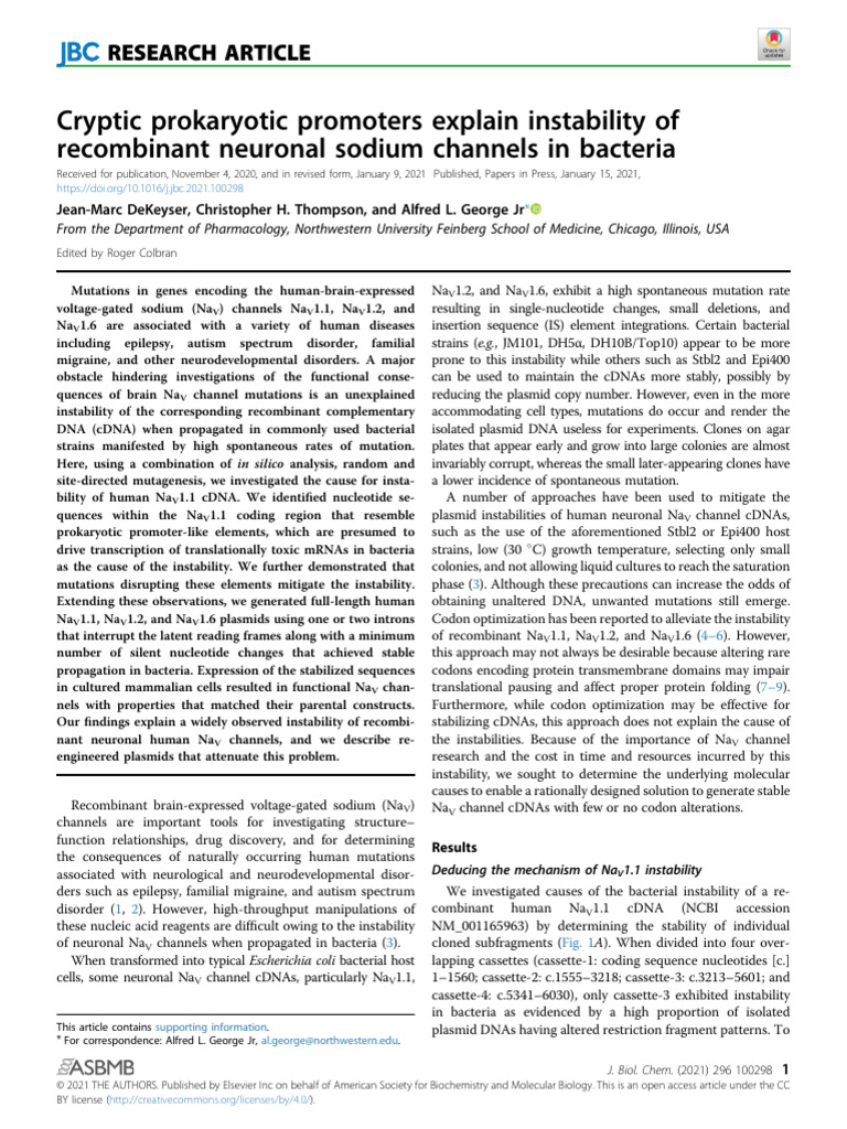 Cryptic Prokaryotic Promoters Explain Instability of Recombinant ...