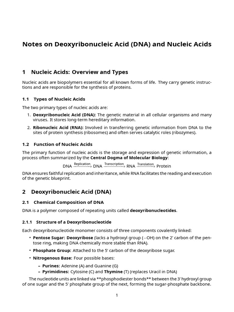 DNA and Nucleic Acid Notes | PDF | Nucleic Acids | Dna