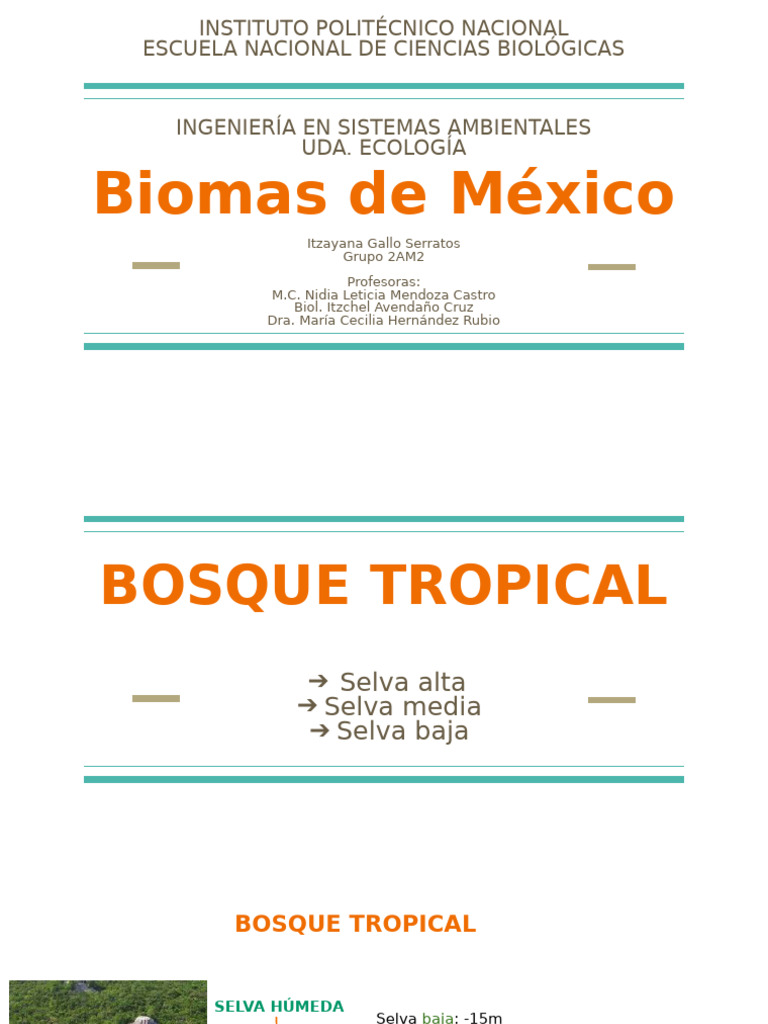 Biomas de México: Características y Flora | PDF | Selva | Desierto
